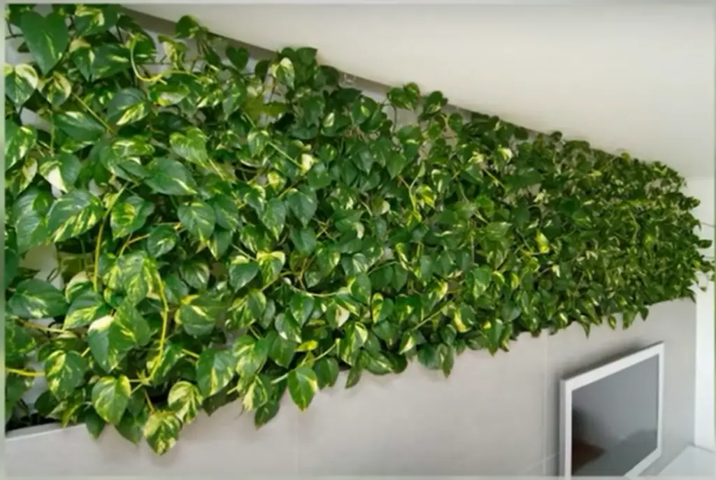 6 Ways to Decorate a High Ledge in the Living Room - HomeProfy