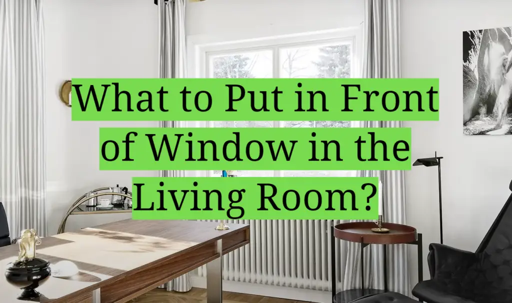 What to Put in Front of Window in the Living Room? - HomeProfy