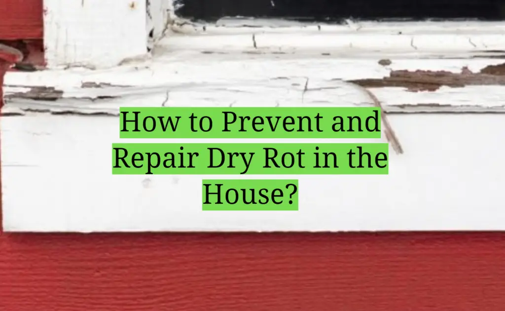 How to Prevent and Repair Dry Rot in the House? - HomeProfy