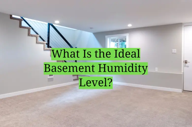 What Is the Ideal Basement Humidity Level? - HomeProfy
