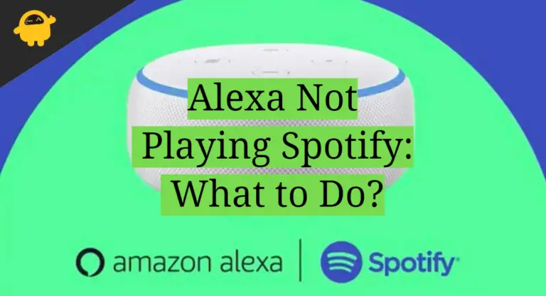 Alexa Not Playing Spotify: What to Do? - HomeProfy