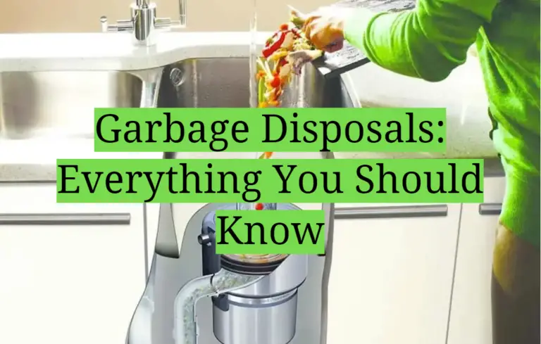 Garbage Disposals: Everything You Should Know - HomeProfy
