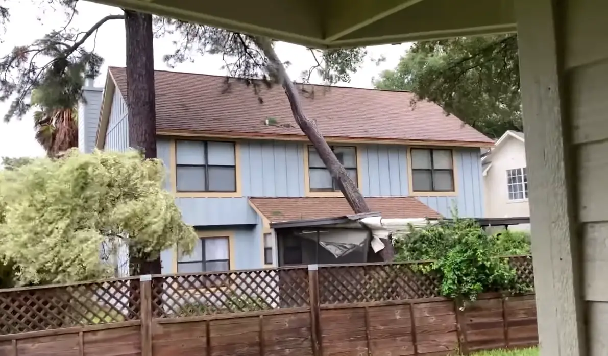 Can a House Withstand a Tree Falling on It? - HomeProfy