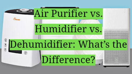 Air Purifier vs. Humidifier vs. Dehumidifier: What’s the Difference? - HomeProfy