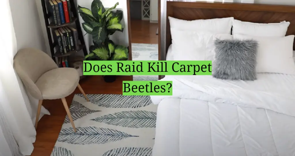 Does Raid Kill Carpet Beetles? - HomeProfy