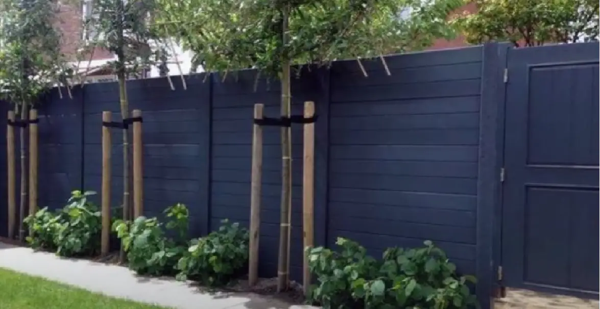 Neighbor Keeps Looking Over Fence: What to Do? - HomeProfy