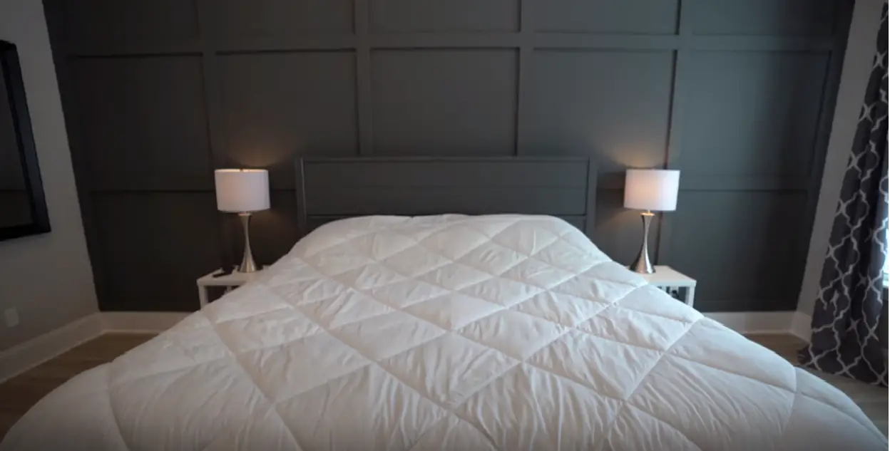 Wainscoting Bedroom Ideas - HomeProfy